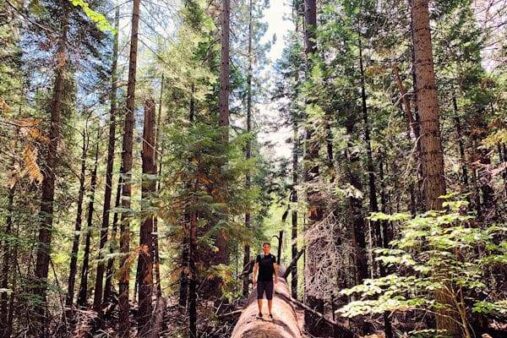 Explore California State Parks: A Comprehensive List and Map of CA ...
