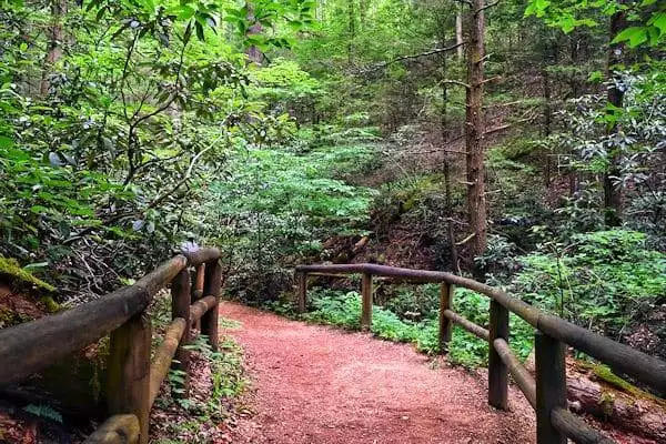 Kentucky State Parks | List + Map of State Parks in KY