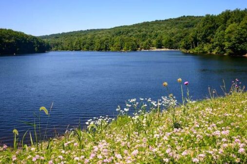 Cunningham Falls State Park in Maryland | Activities, Map & Guide