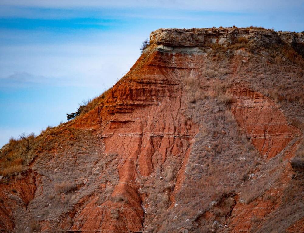 Caledon State Park in King George, VA | America's State Parks