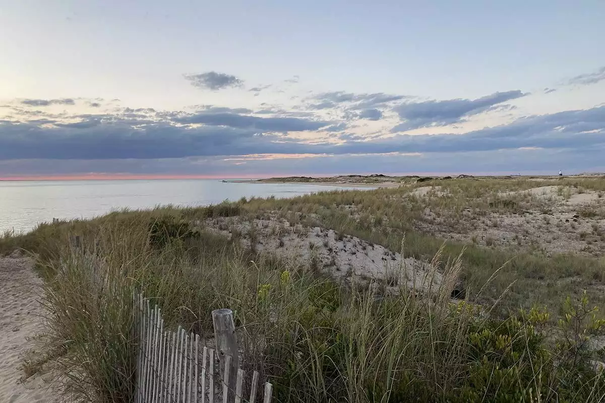 Cape Henlopen State Park bird blind - State Parks