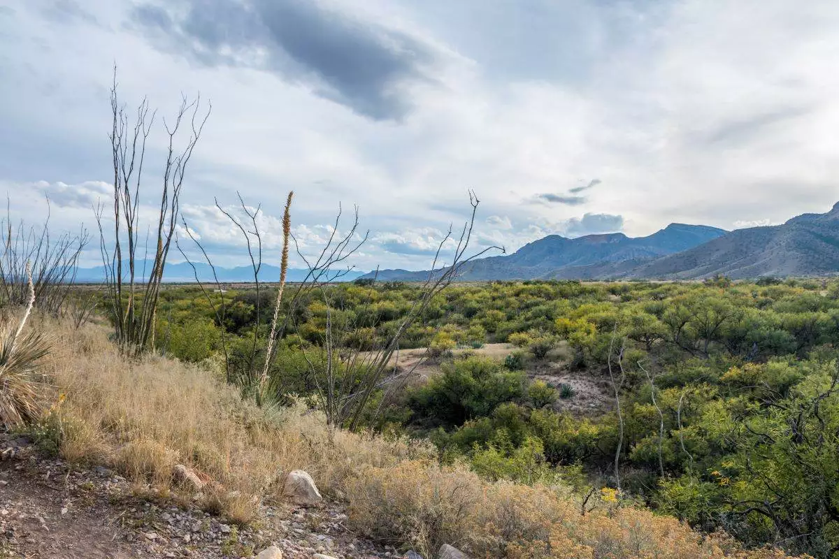 Kartchner Caverns State Park In Benson, AZ | America's State Parks