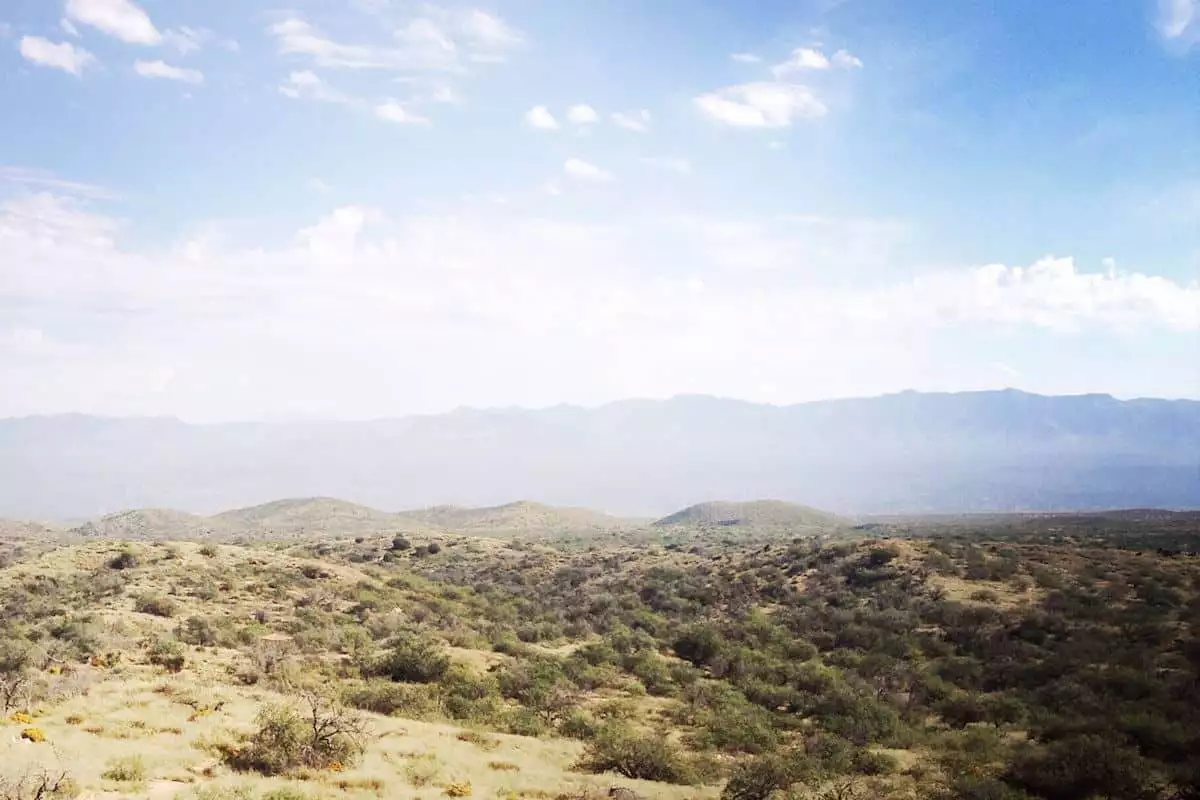Oracle State Park In Oracle, AZ| America's State Parks