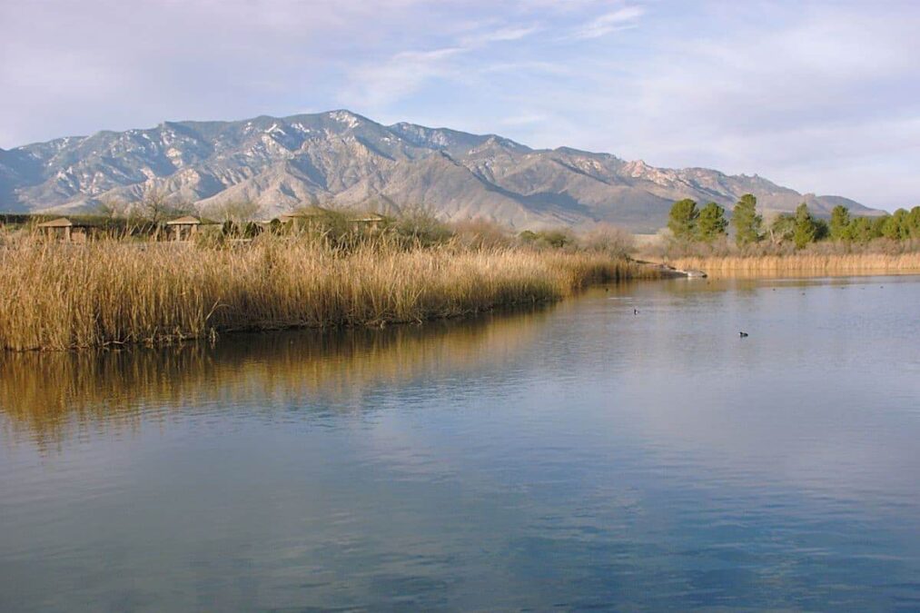 Roper Lake State Park In Safford, AZ | America's State Parks