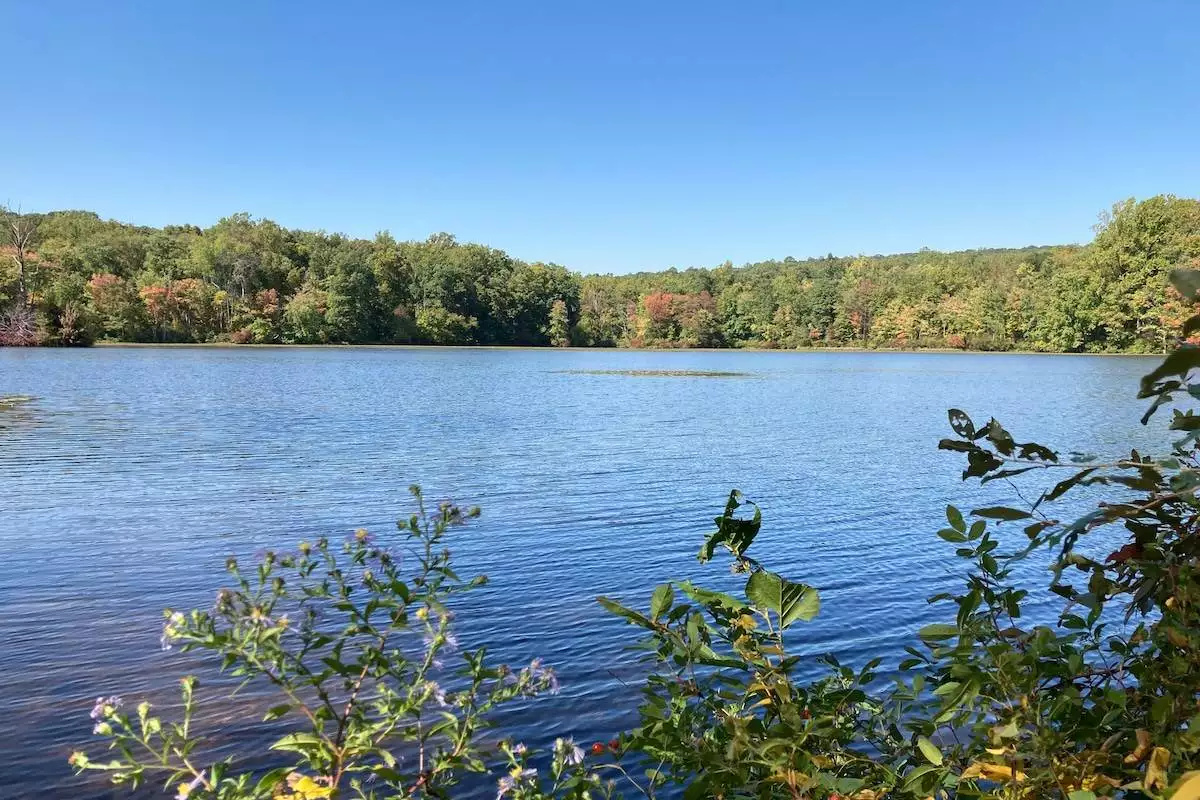 French Creek State Park