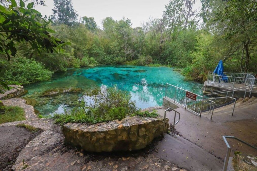 Explore Ichetucknee Springs State Park Camping & Activities in FL