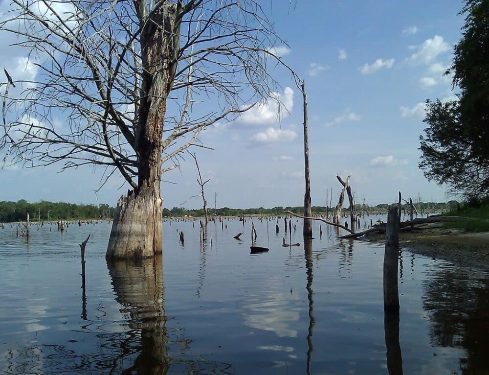Sheldon Lake State Park In Houston, TX | America's State Parks