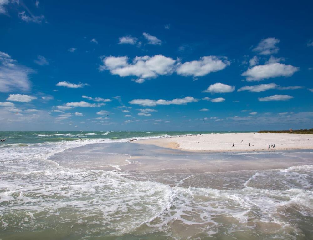 Forest Capital Museum State Park In Perry, FL | America's State Parks