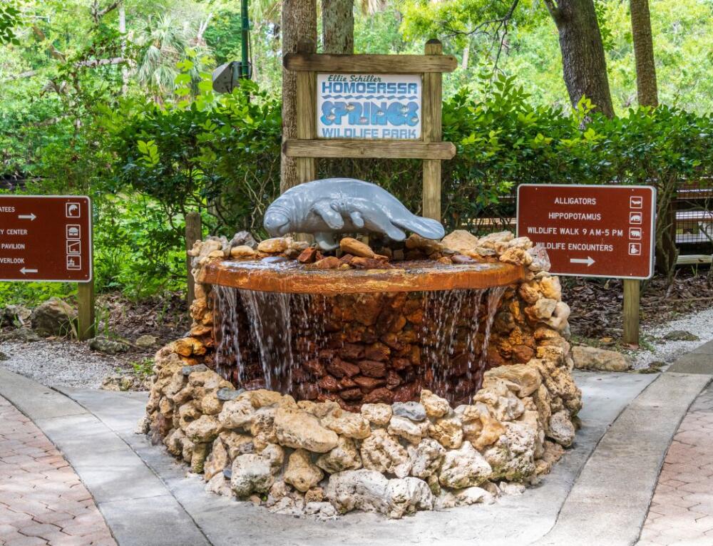 Fanning Springs State Park In Fanning Springs, FL | America's State Parks