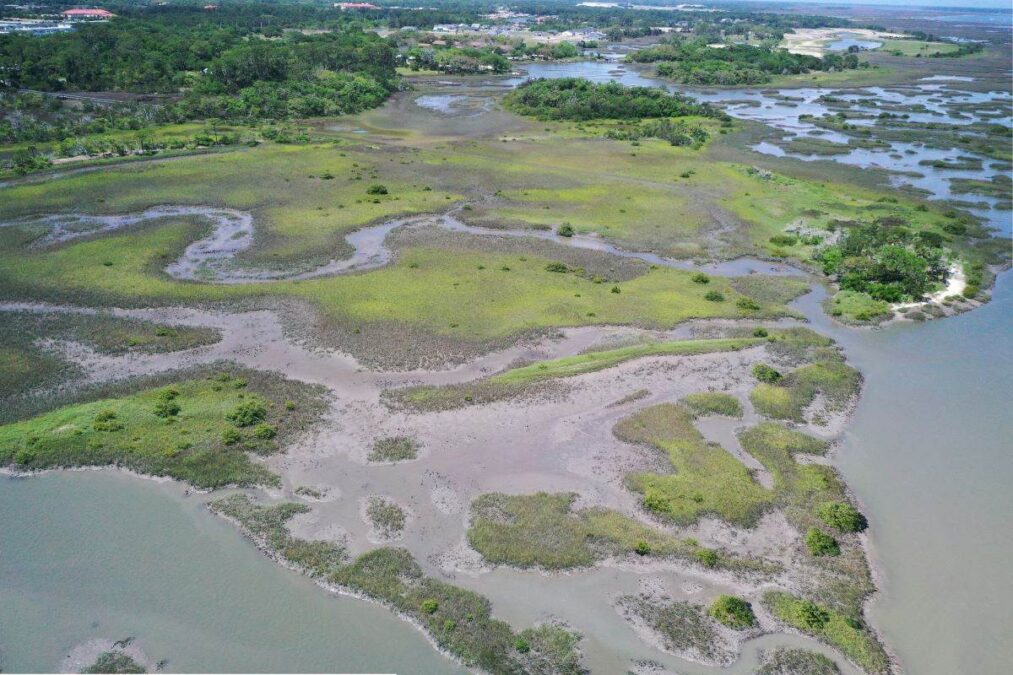 Fort Mose Historic State Park In St. Augustine, FL | America's State Parks