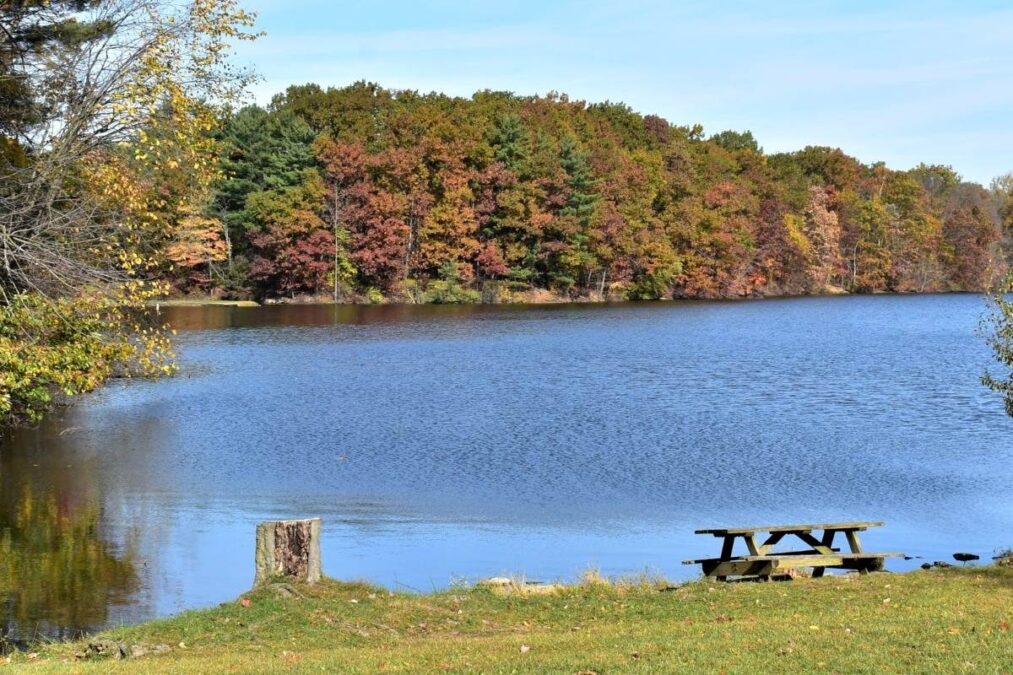 Findley State Park In Wellington, OH | America's State Parks