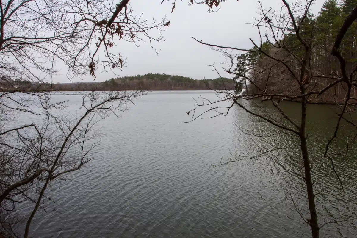 Lake Catherine State Park In Hot Springs, AR | America's State Parks