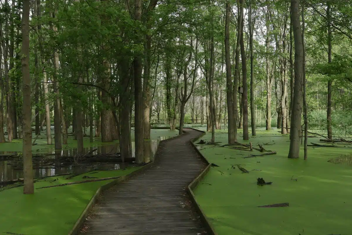 Maumee Bay State Park in Oregon, OH | Family Vacation Destination