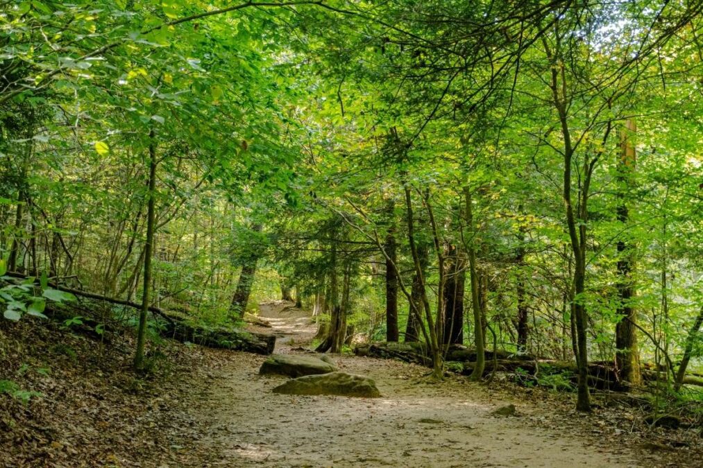 Mohican State Park In Loudonville, OH | America's State Parks