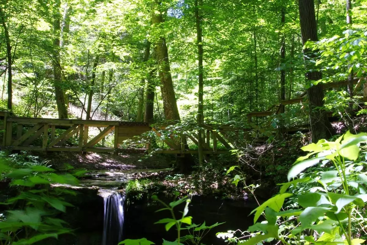 Mohican State Park In Loudonville, OH | America's State Parks