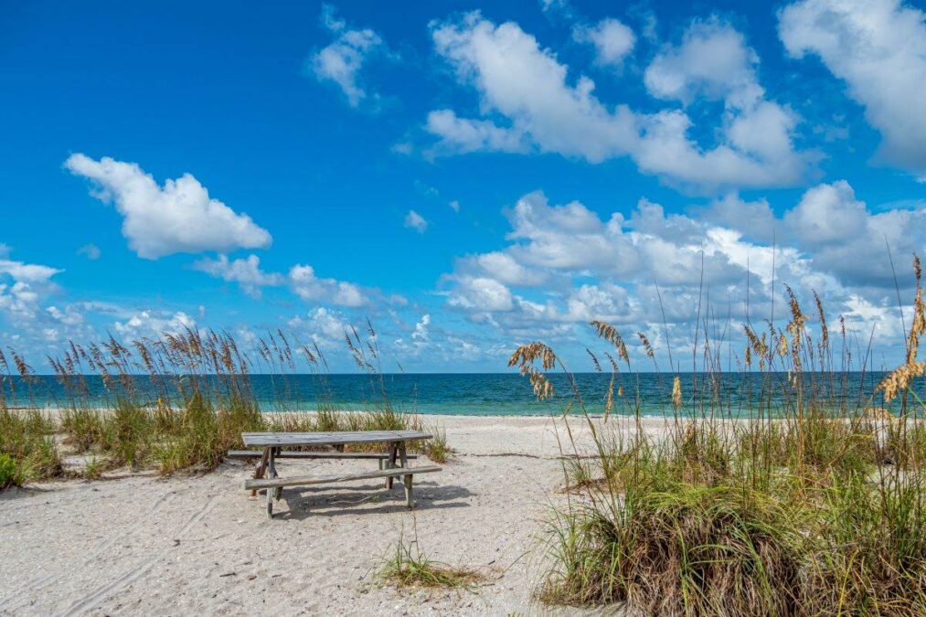 Stump Pass Beach State Park In St. Petersburg FL | America's State Parks