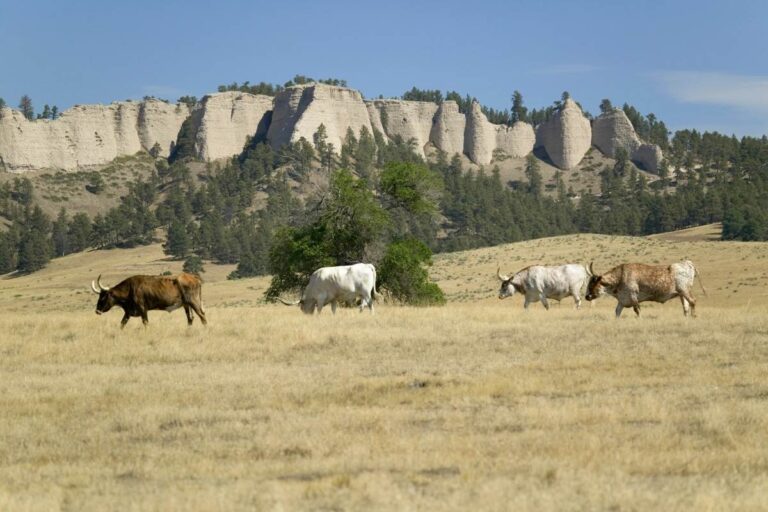 Fort Robinson State Park In Crawford, NE | America's State Parks