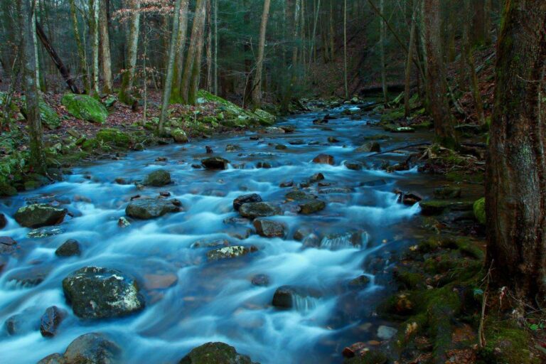 Frozen Head State Park: Rugged Trails (TN) | America's State Parks
