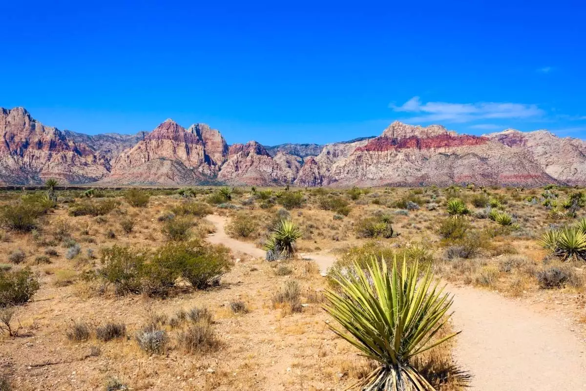 Red Rock Canyon State Park In Cantil, CA | America's State Parks