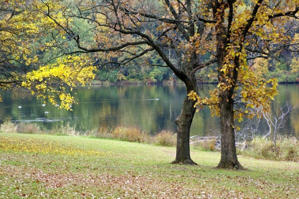 Rock Cut State Park in Loves Park IL - Camping & Activities