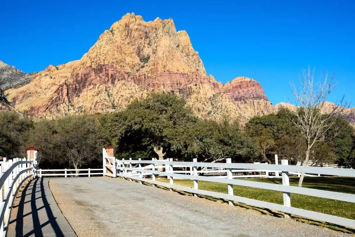 Spring Mountain Ranch State Park In Blue Diamond, NV | America's State ...