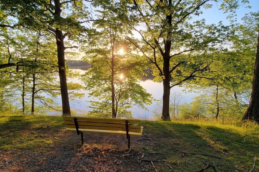 Wingfoot Lake State Park In Mogadore, OH | America's State Parks
