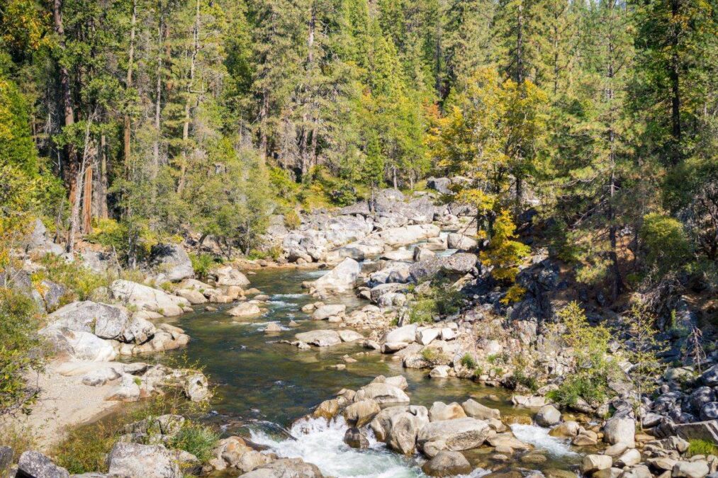 Calaveras Big Trees State Park In Arnold, CA | America's State Parks